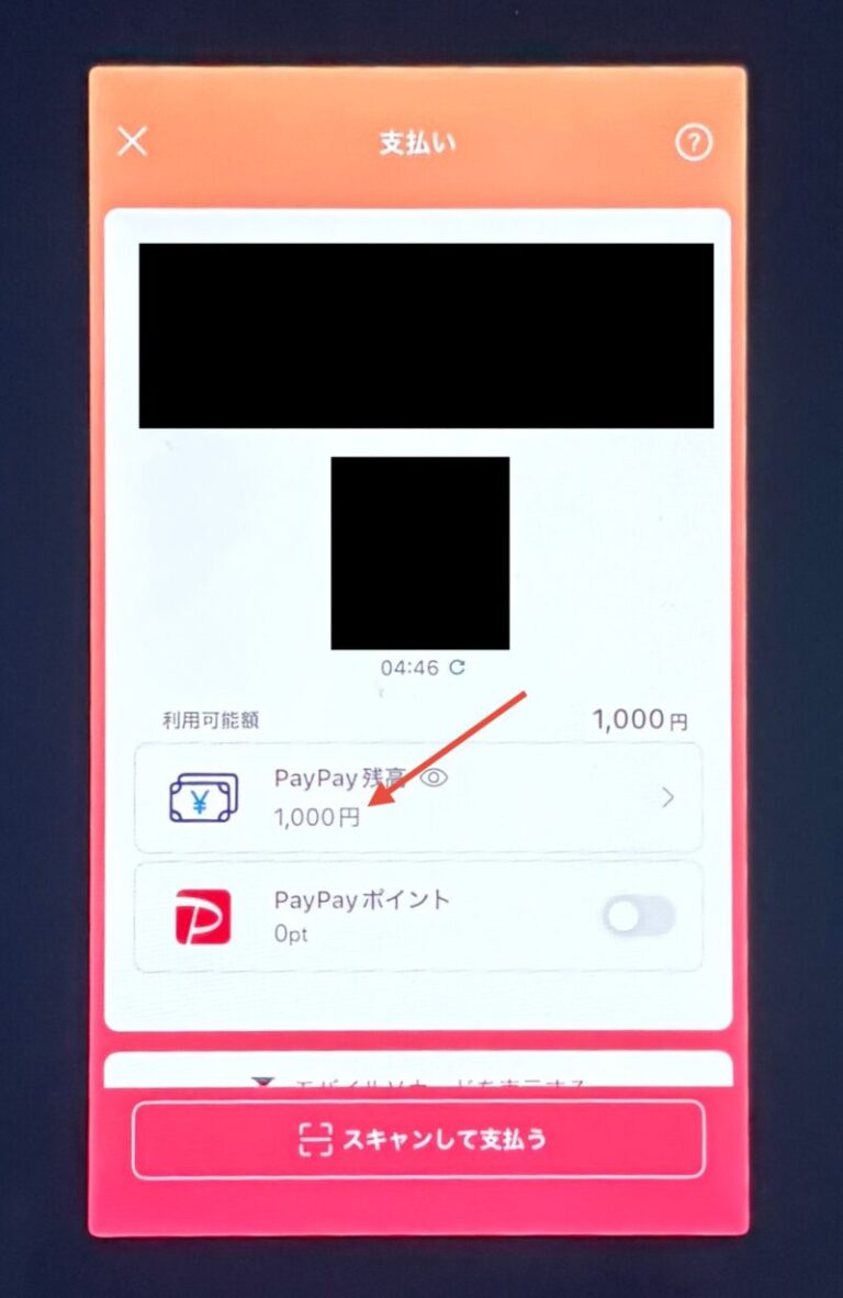 iPadminiでPayPayを使う方法！手順と銀行口座登録方法を解説